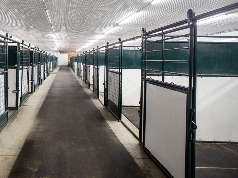 Specialty Equine Facilities » Hi-Hog