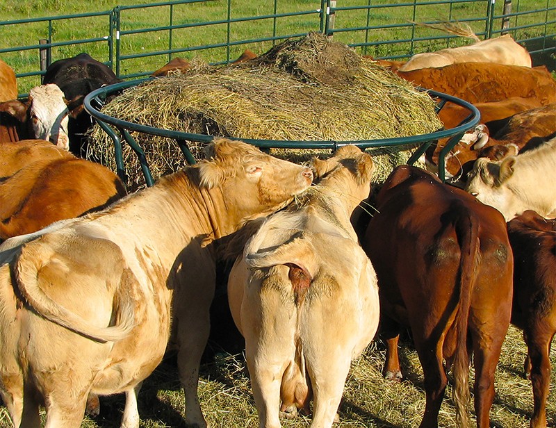 Hi-Hog Farm & Ranch Equipment » Hi-Hog