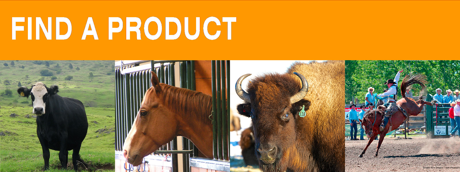 Hi-Hog Farm & Ranch Equipment Manufacturer » Hi-Hog